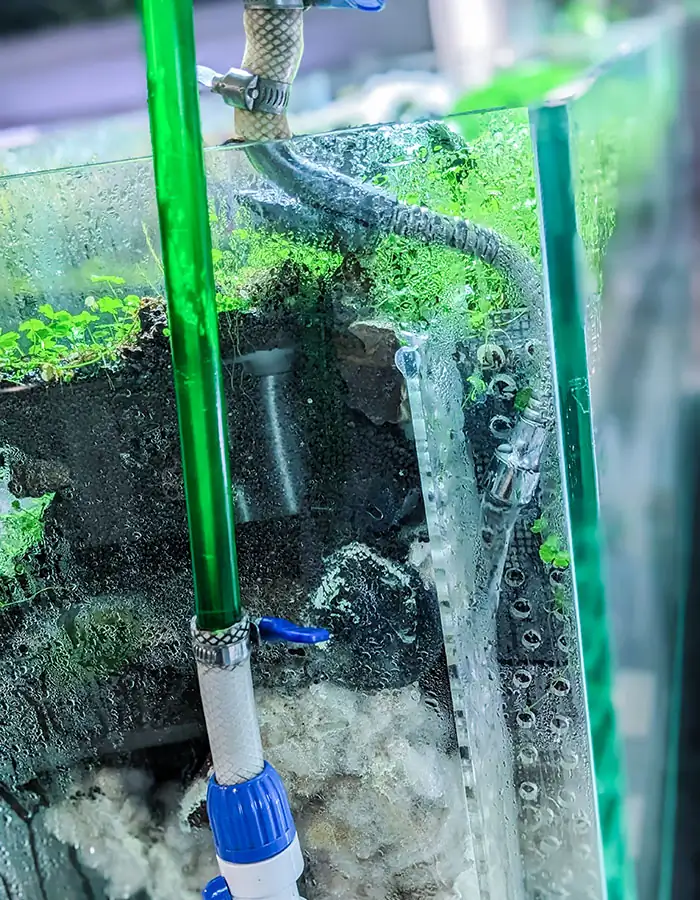 Aquascaping steps Against the flow - IAPLC 2023 Rank 30 - Katsuki Tanaka / Japan - Aquarium ...