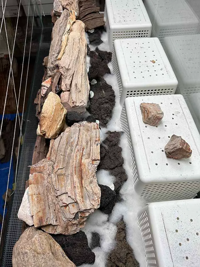 Aquascaping steps Color layers of the earth IAPLC 2024 - Kazuma ...
