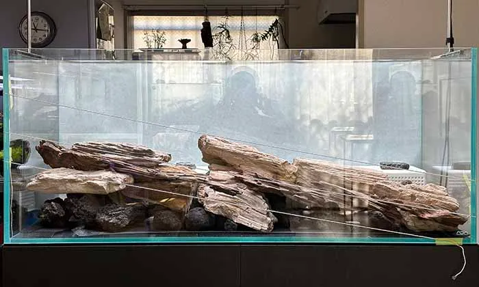 Aquascaping steps Color layers of the earth IAPLC 2024 - Kazuma ...