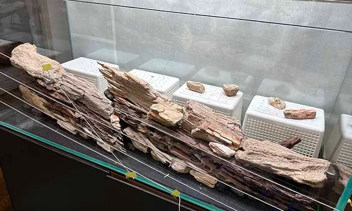 Aquascaping steps Color layers of the earth IAPLC 2024 - Kazuma ...