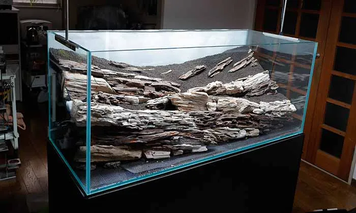 Aquascaping steps Color layers of the earth IAPLC 2024 - Kazuma ...