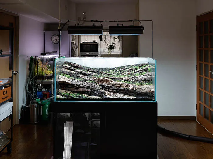 Aquascaping steps Color layers of the earth IAPLC 2024 - Kazuma ...