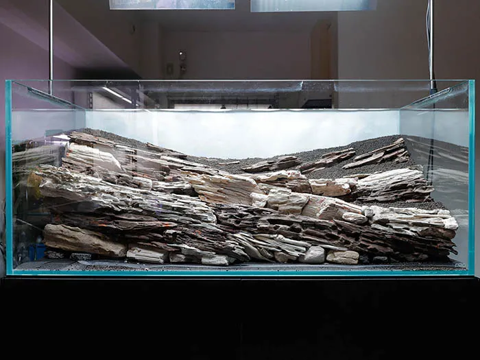 Aquascaping steps Color layers of the earth IAPLC 2024 - Kazuma ...