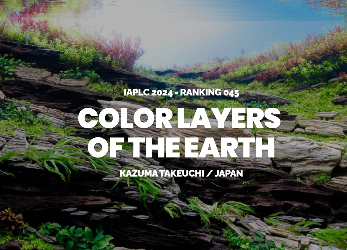 Aquascaping steps Color layers of the earth IAPLC 2024 - Kazuma ...